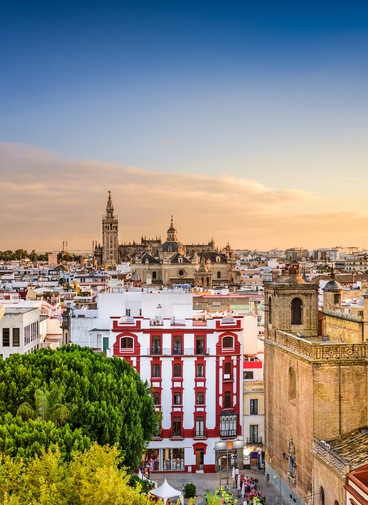 Wonder Week | Meliá Escapes